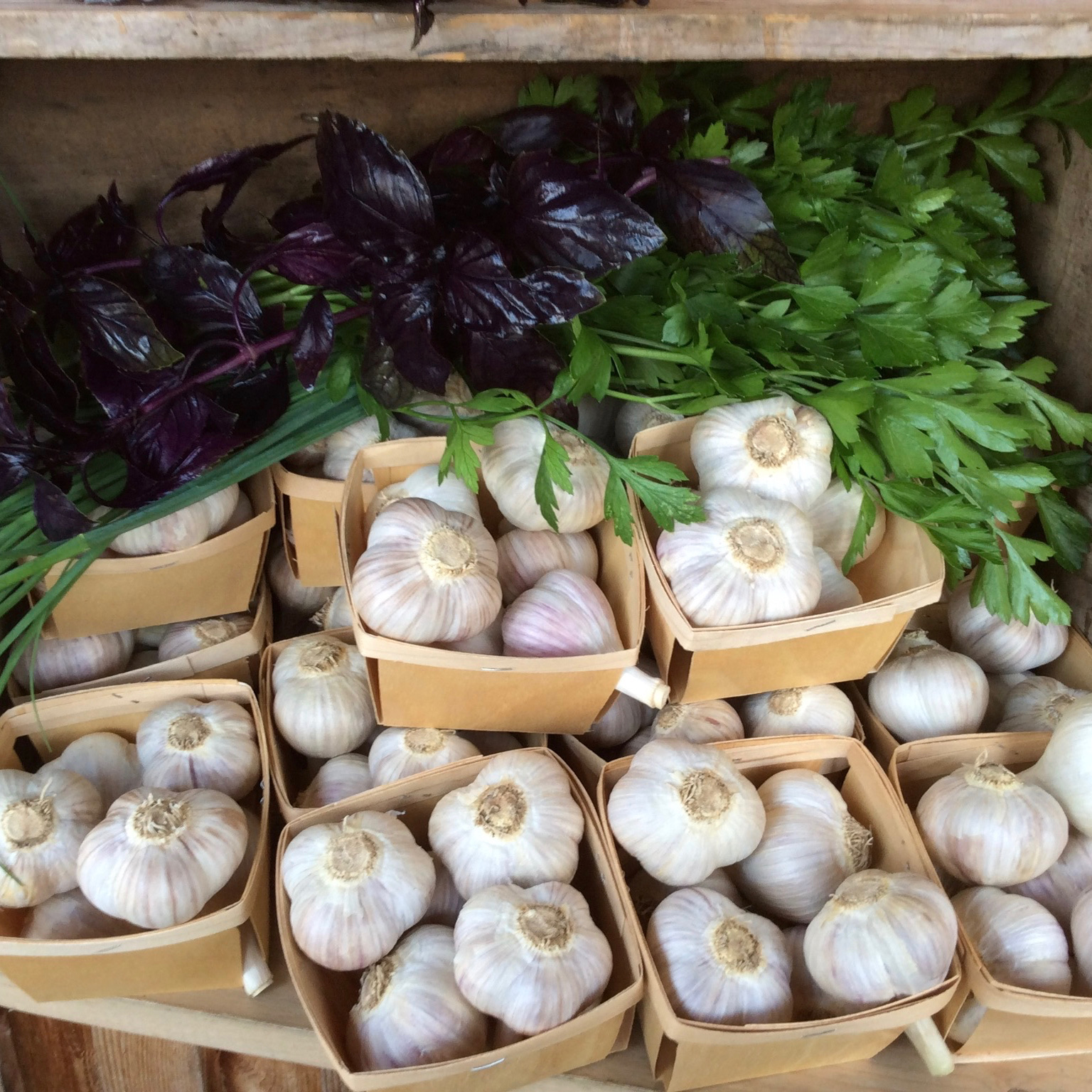 Aux P'tits Fruits – Ferme maraîchère biologique