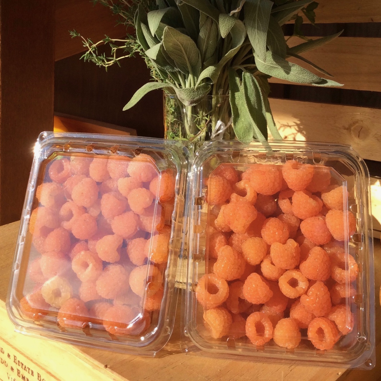 Aux P'tits Fruits – Ferme maraîchère biologique